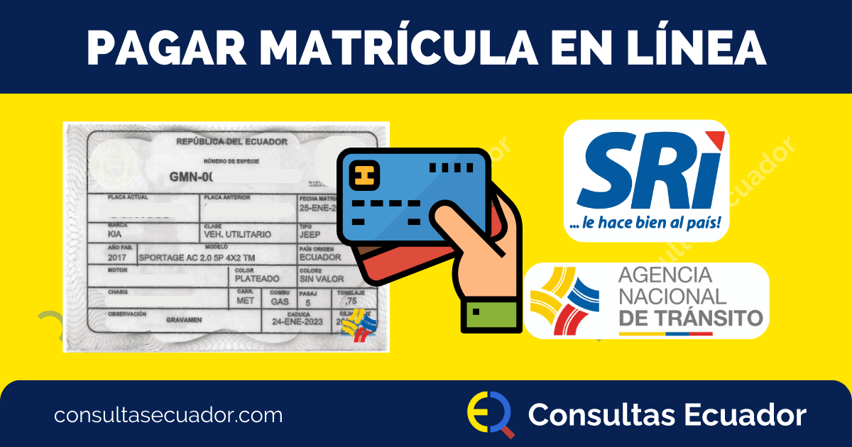 Pagar Matrícula En Línea | Consultas Ecuador
